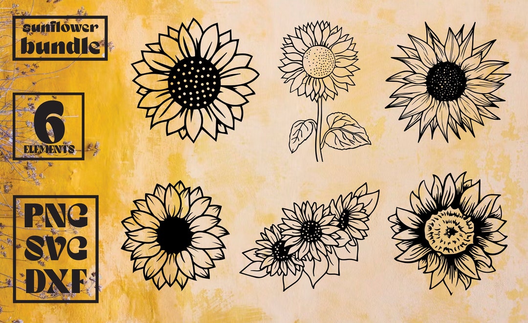 Sunflower SVG, PNG, DFX, Sunflower Svg Cricut, Sunflower Clipart ...
