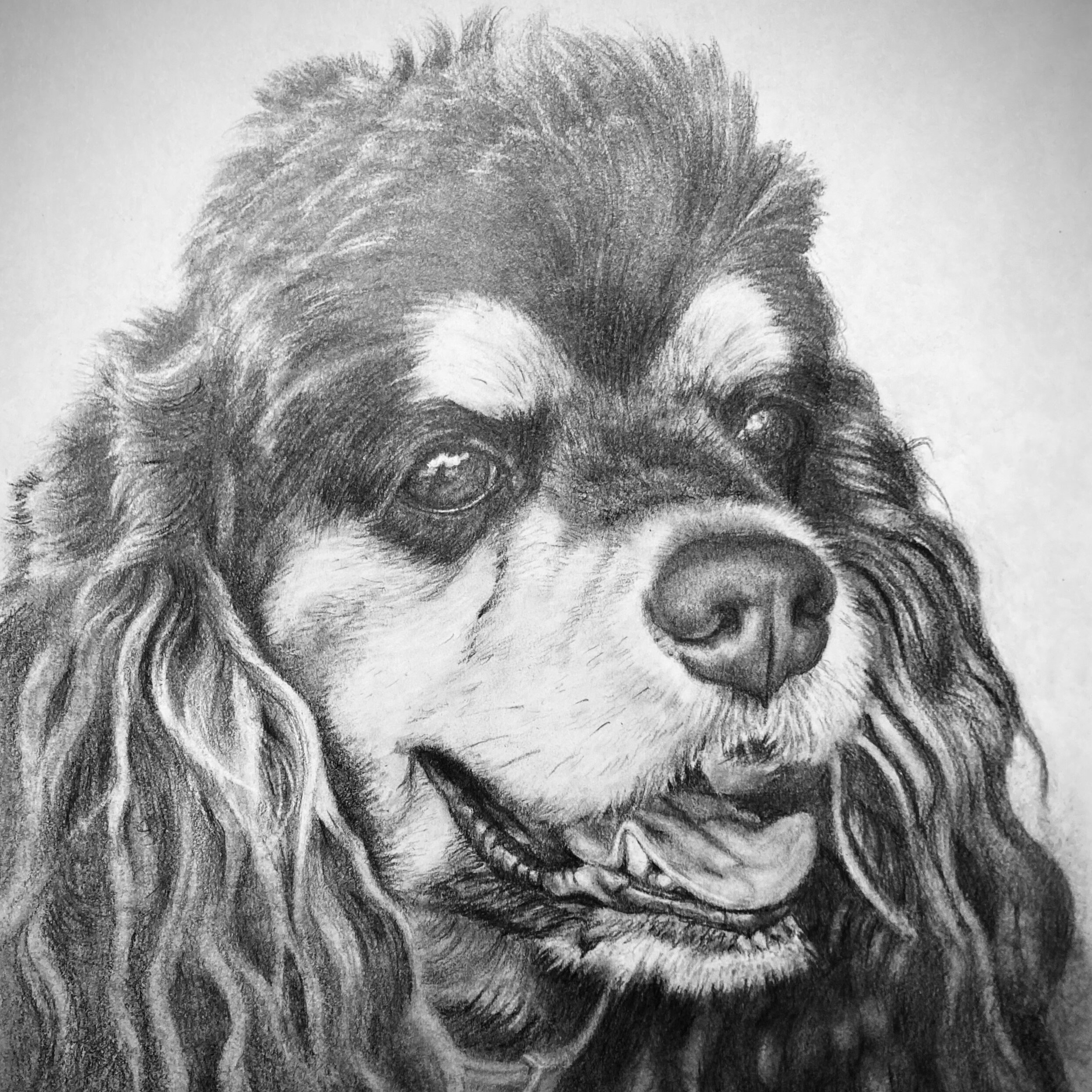 Custom Hand-drawn Pet Portrait - Etsy