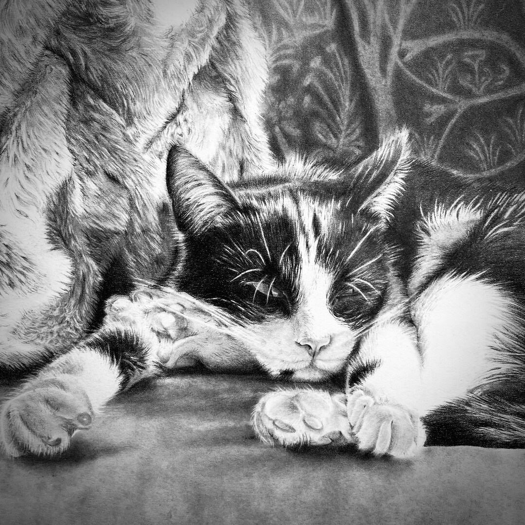 Custom Hand-drawn Pet Portrait - Etsy