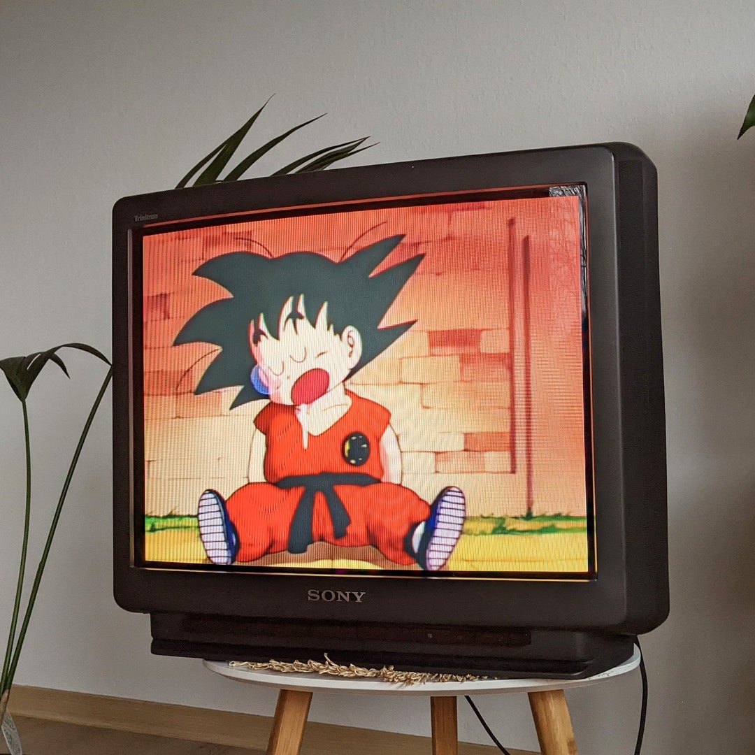 Sony Trinitron KV-21X1D Gaming CRT TV - Etsy Finland