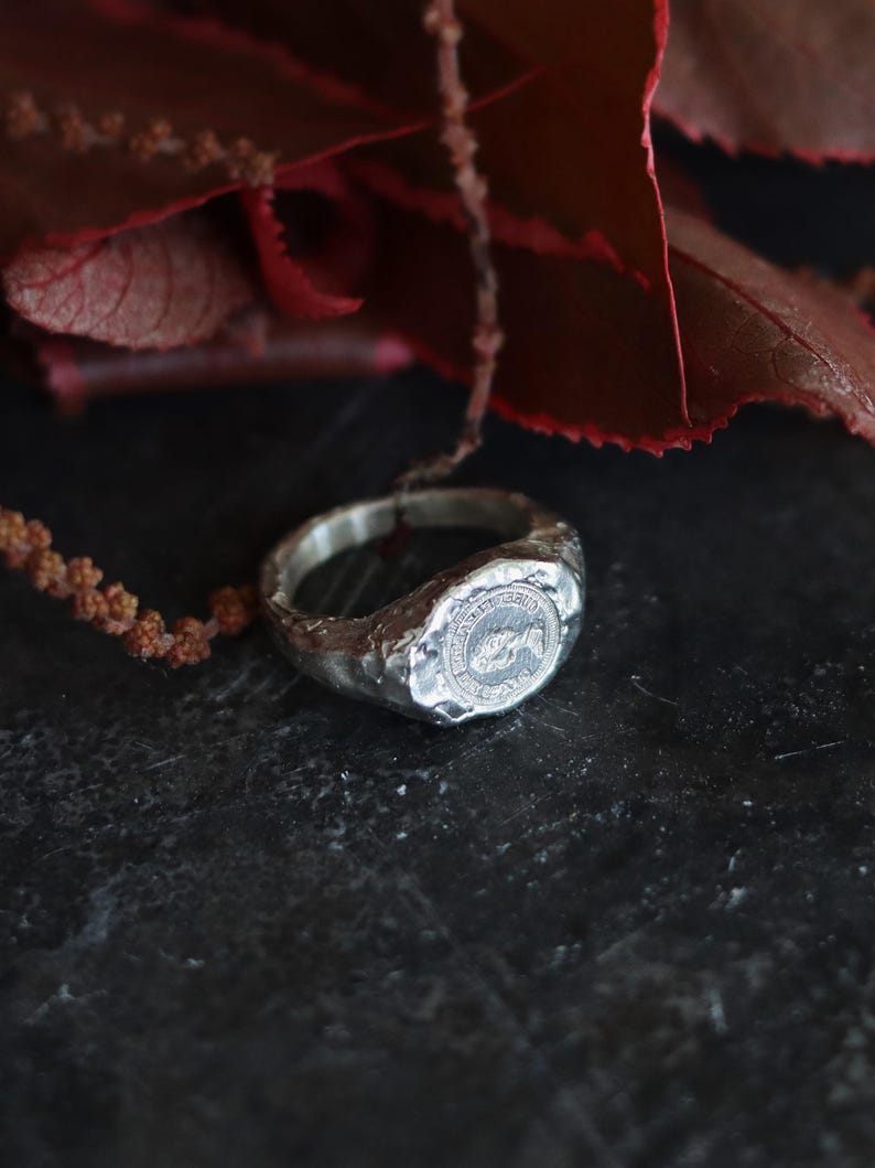 Custom Signet Ring With Wax Seal - Personalized Family Crest Design - Etsy