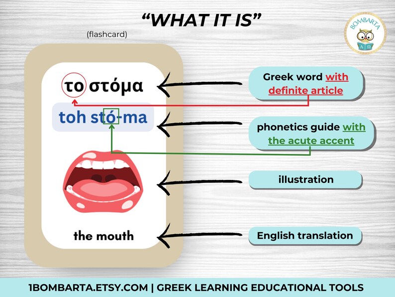 Greek Body Parts Flashcards for Kids, Bilingual Greek & English ...
