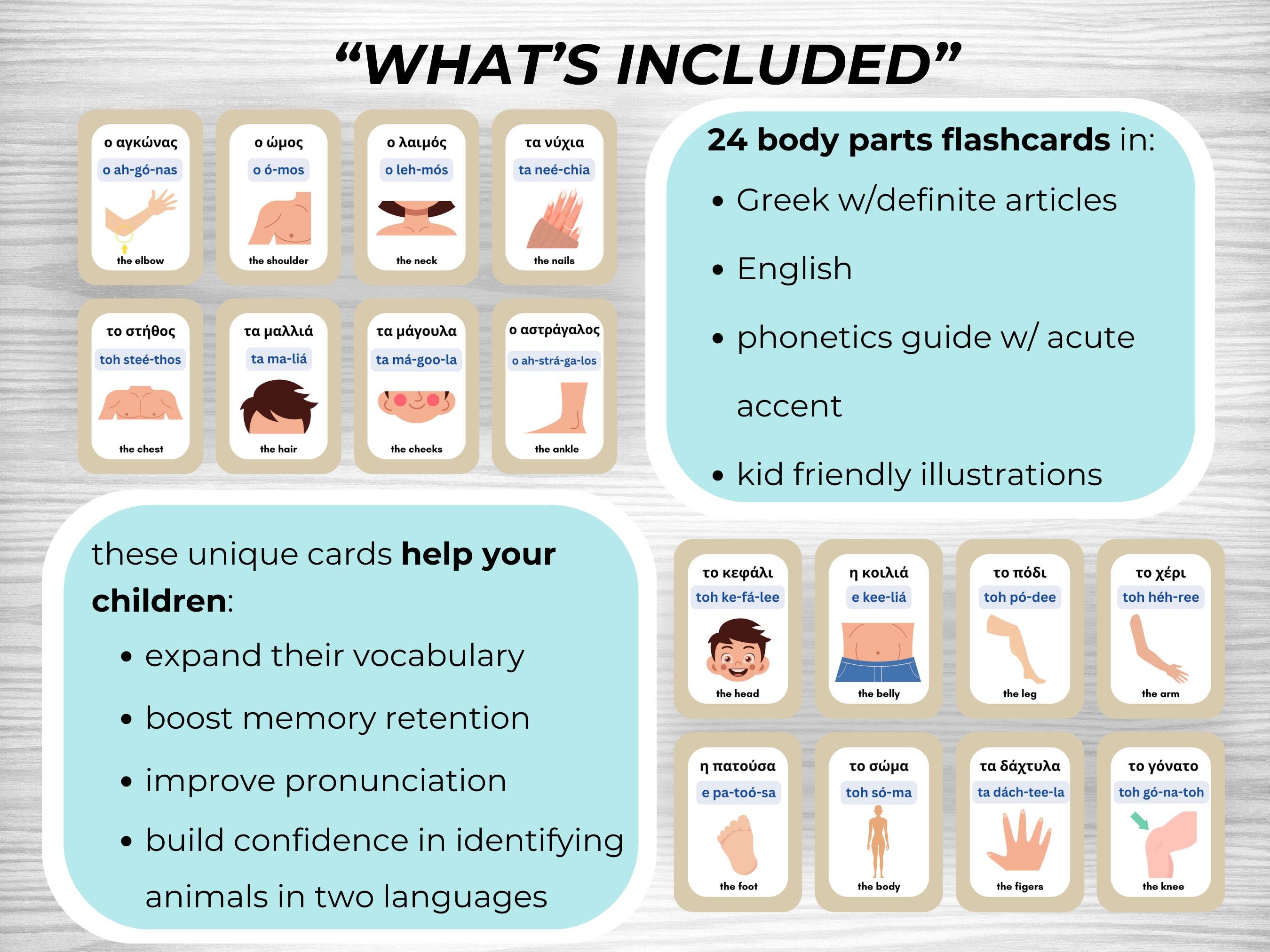 Greek Body Parts Flashcards for Kids, Bilingual Greek & English ...