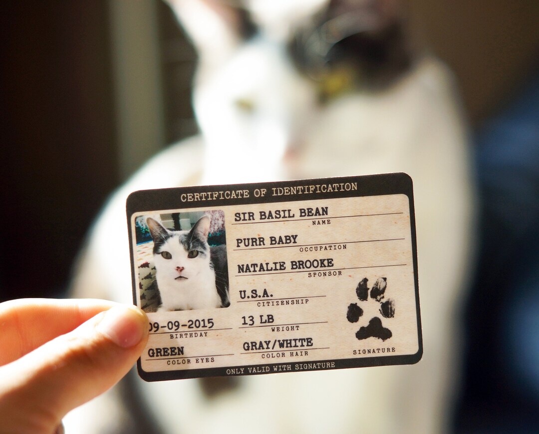 Customizable Pet ID Sticker Set | Cat Tag, Dog Tag Sticker | Pet ...