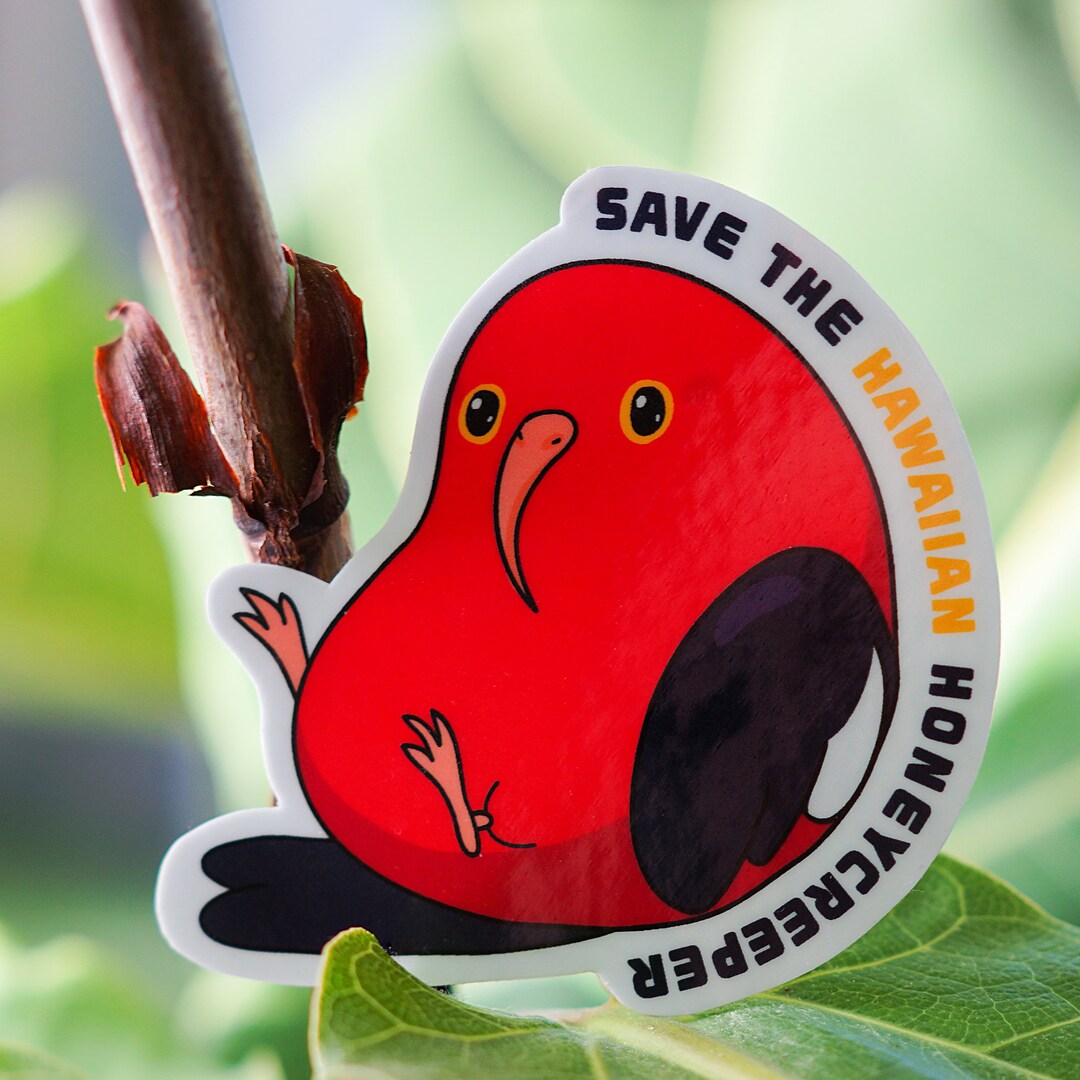 Endangered Species "save the Hawaiian Honeycreeper" Bird Sticker | Cute ...