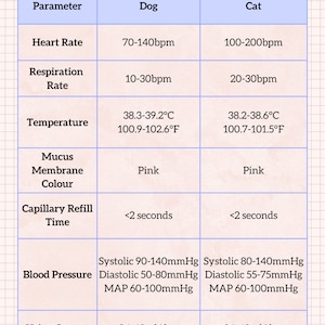 Entire Vet Nursing Pocket Guide Collection - Etsy