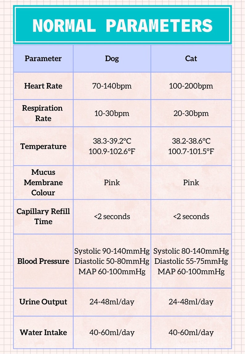 Vet Nurse Normal Parameter Pocket Guide - Etsy