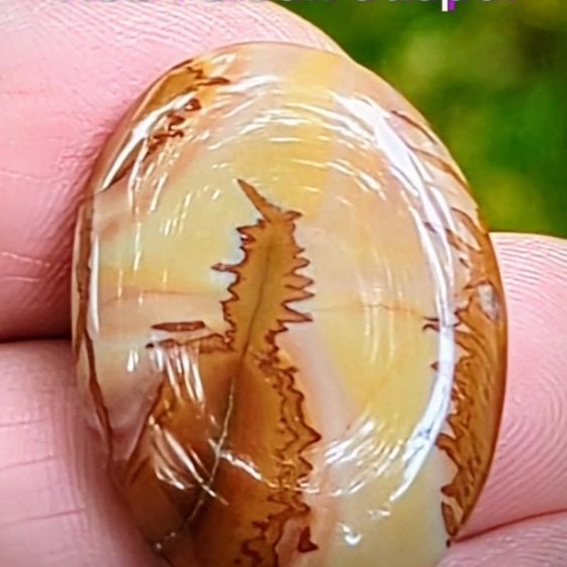 Red Falcon Jasper Jewelry - Etsy