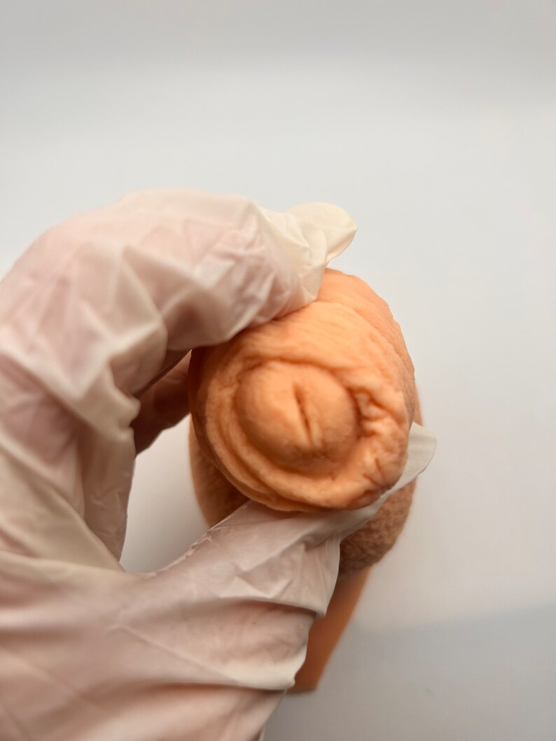 Picasso Stp/packer FTM Prosthetic - Etsy