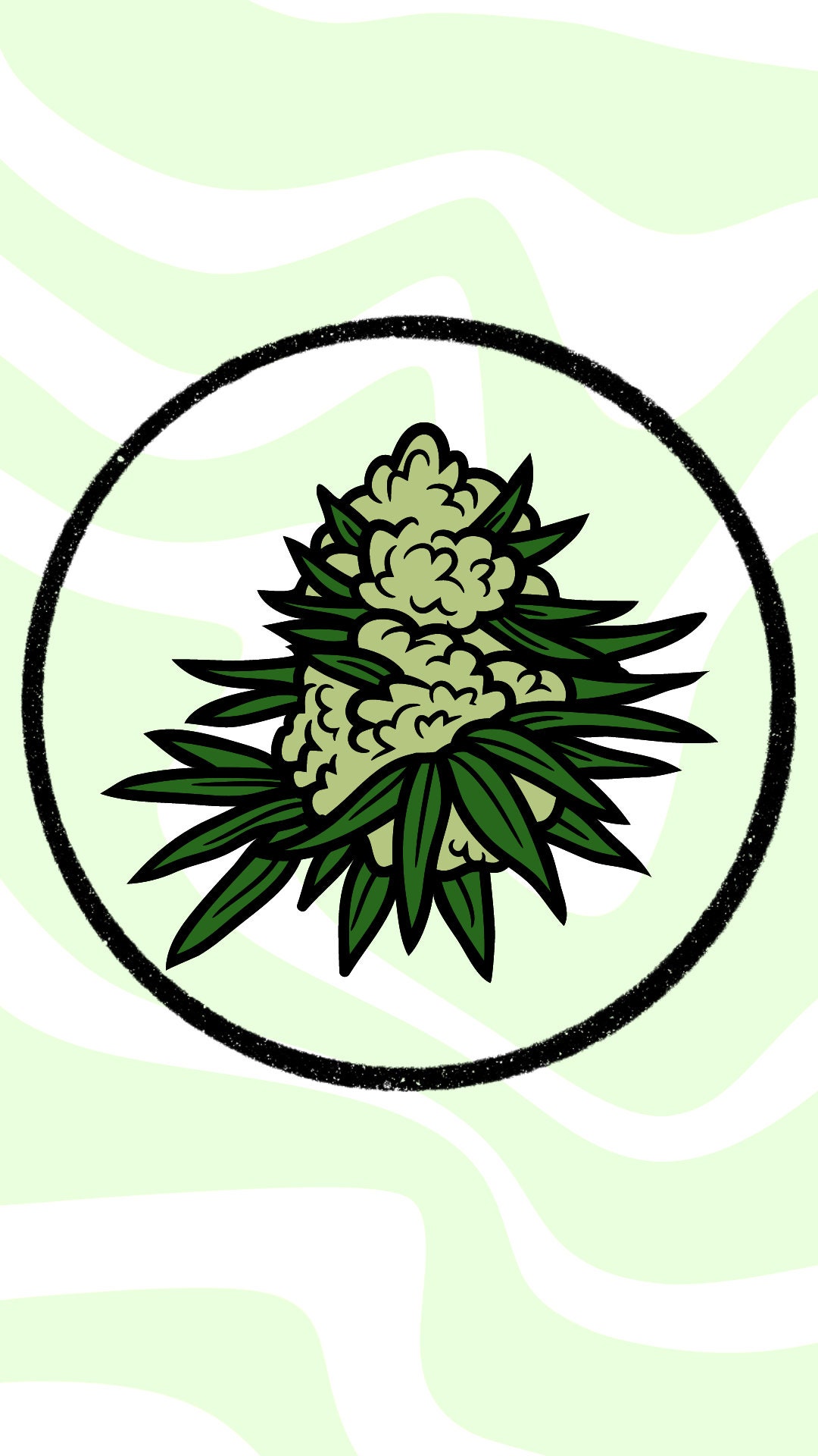 Insta Icons Cannabis Icons Pack Leaves Jars Plants Edibles Instagram ...