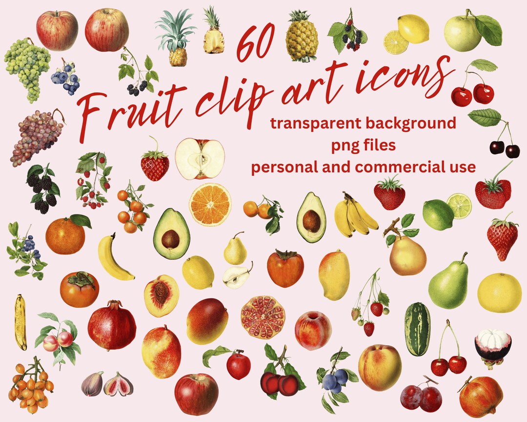 Fruit Clipart Bundle Vintage Illustrations Commercial Personal Use ...