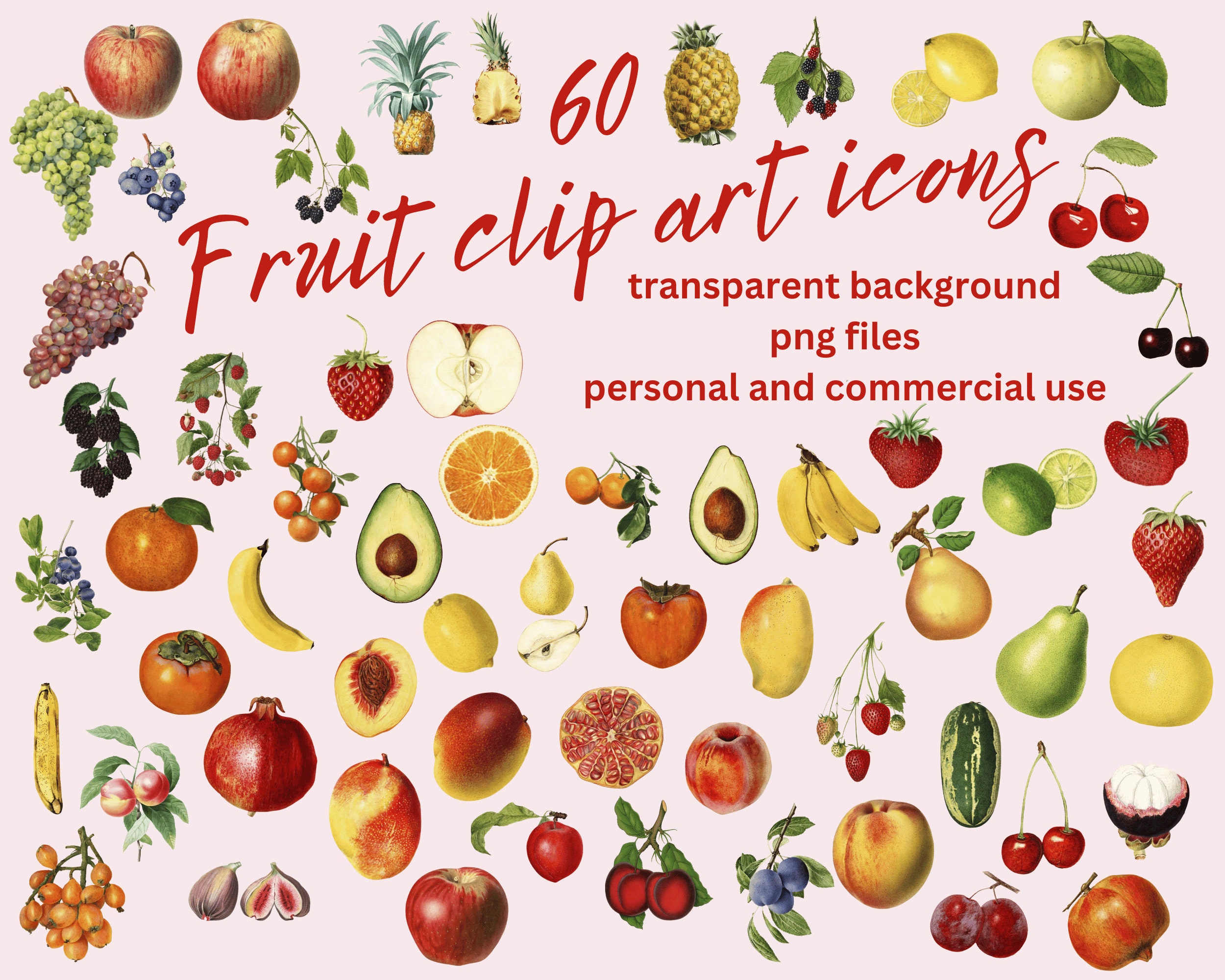 Fruit Clipart Bundle Vintage Illustrations Commercial Personal - Etsy