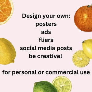 Fruit Clipart Bundle Vintage Illustrations Commercial Personal Use ...