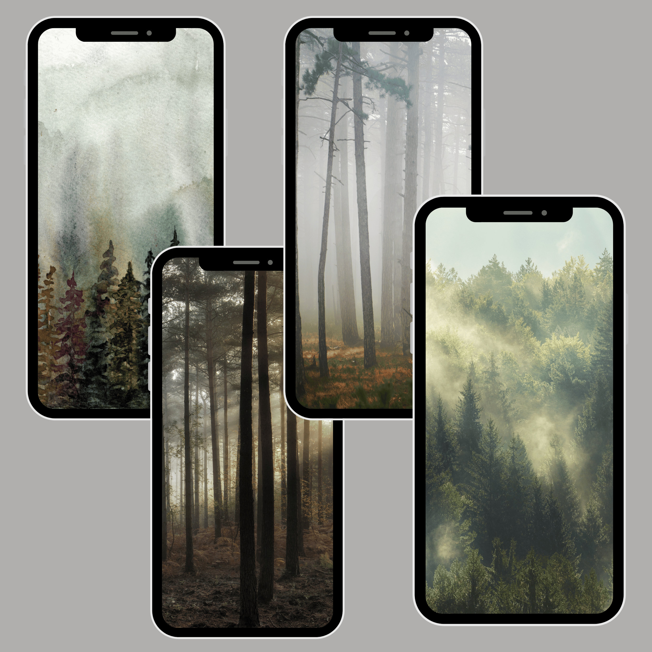 Misty Forests iPhone Wallpaper Bundle Twilight Inspo Wallpaper Variety Pack Android Phone Lock ...