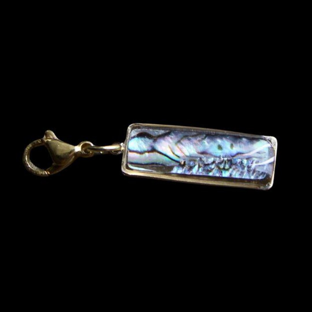 Abalone Shell Zipper Pull Purse Clip Clip on Charm Progress Keeper Clip ...