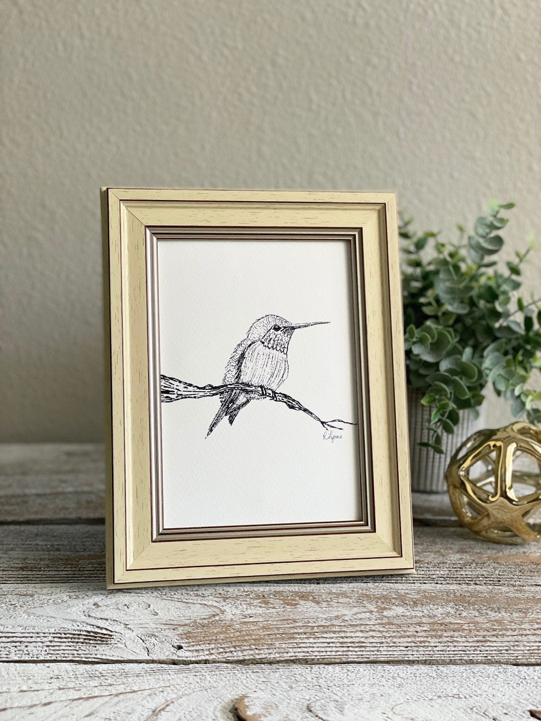 Original Hummingbird Ink Sketch Hummingbird at Rest Art Print Neutral ...