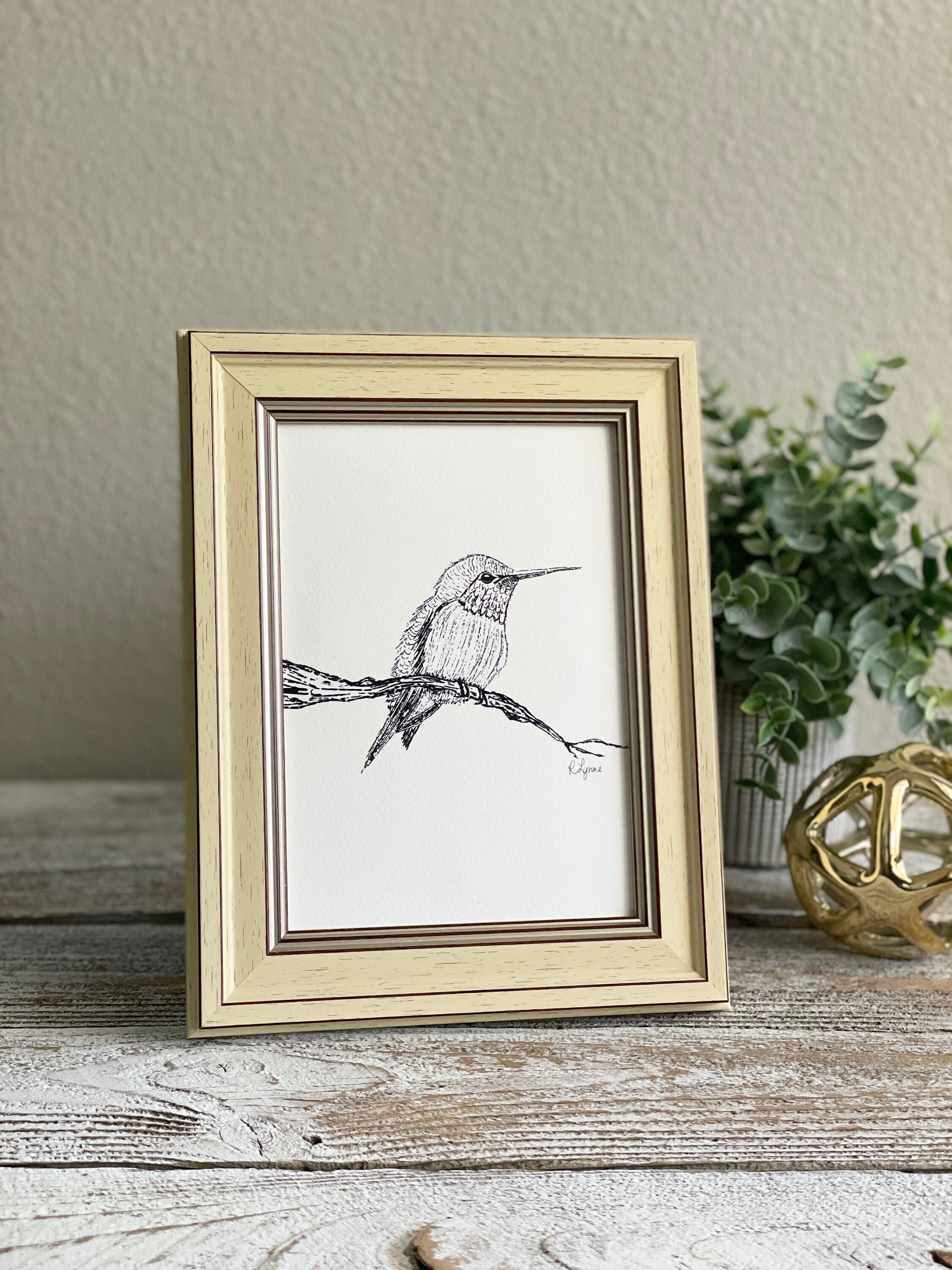 Original Hummingbird Ink Sketch - Hummingbird at Rest Art Print ...