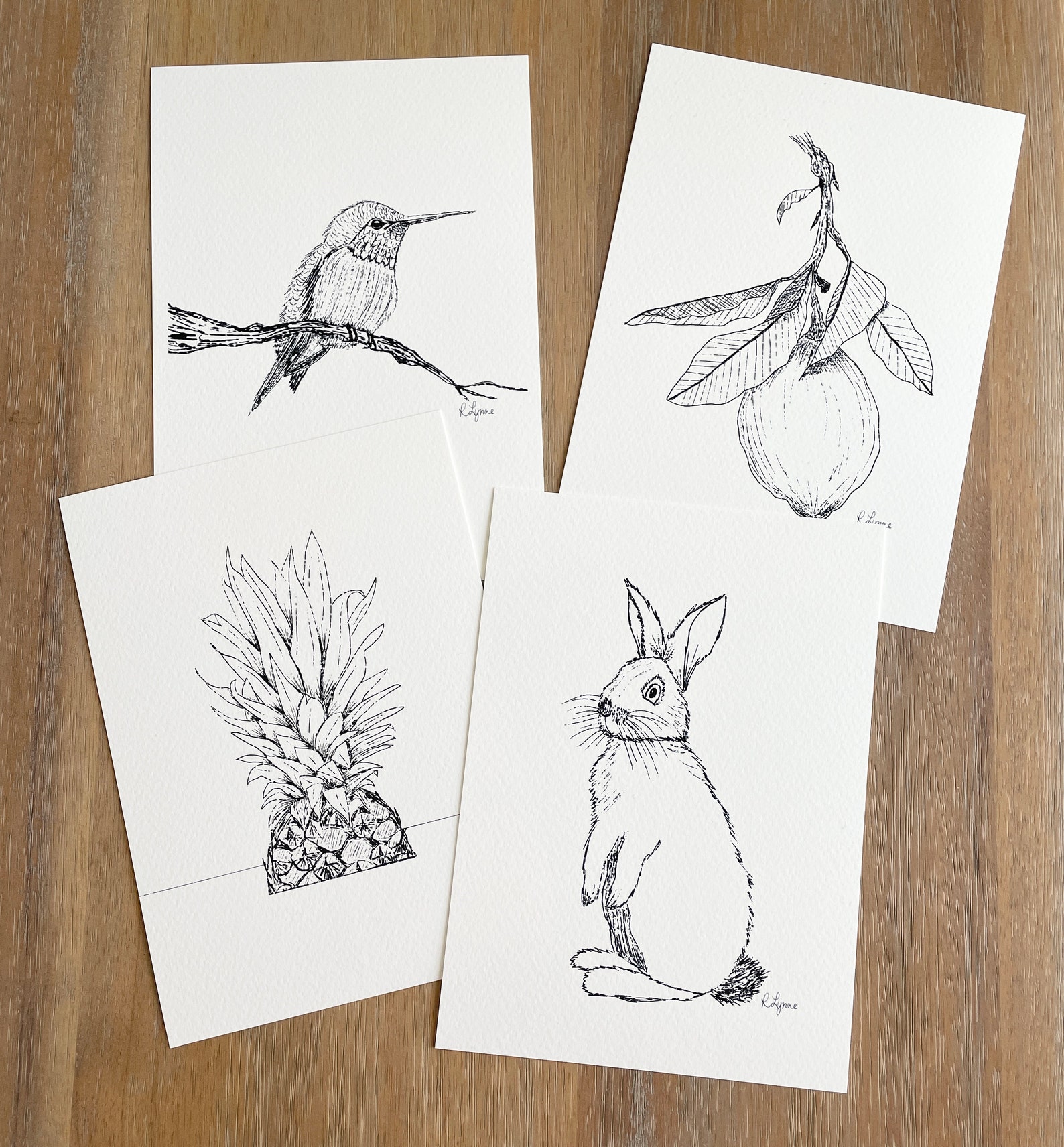 Curious Bunny Art Print Original Rabbit Ink Sketch Giclee Art Print ...
