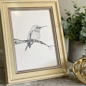 Original Hummingbird Ink Sketch - Hummingbird at Rest Art Print ...