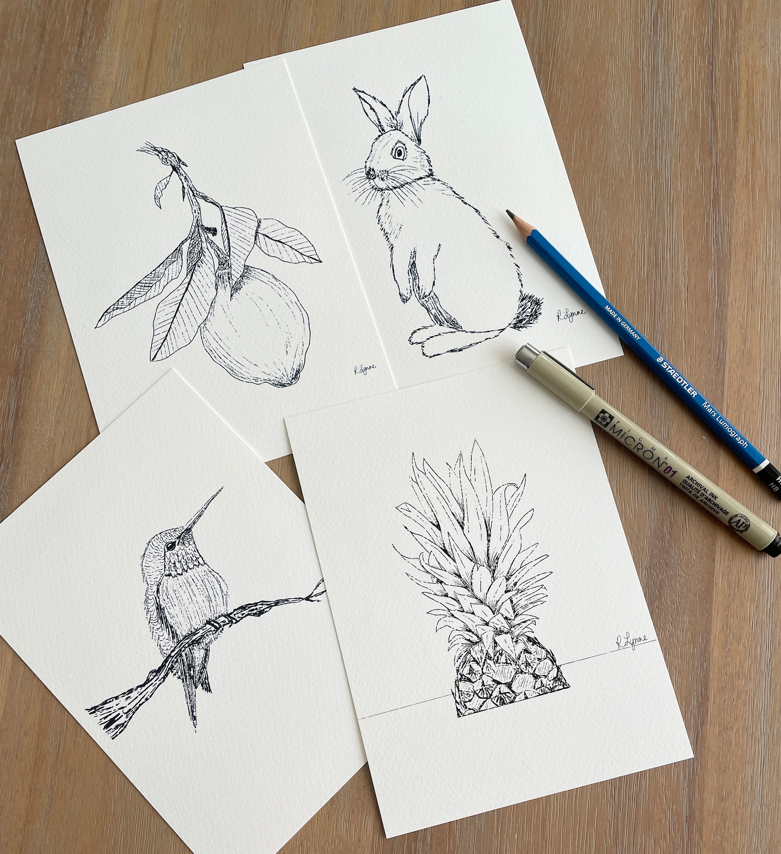 Curious Bunny Art Print Original Rabbit Ink Sketch Giclee Art Print ...