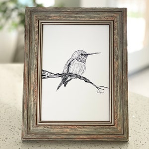 Original Hummingbird Ink Sketch - Hummingbird at Rest Art Print ...
