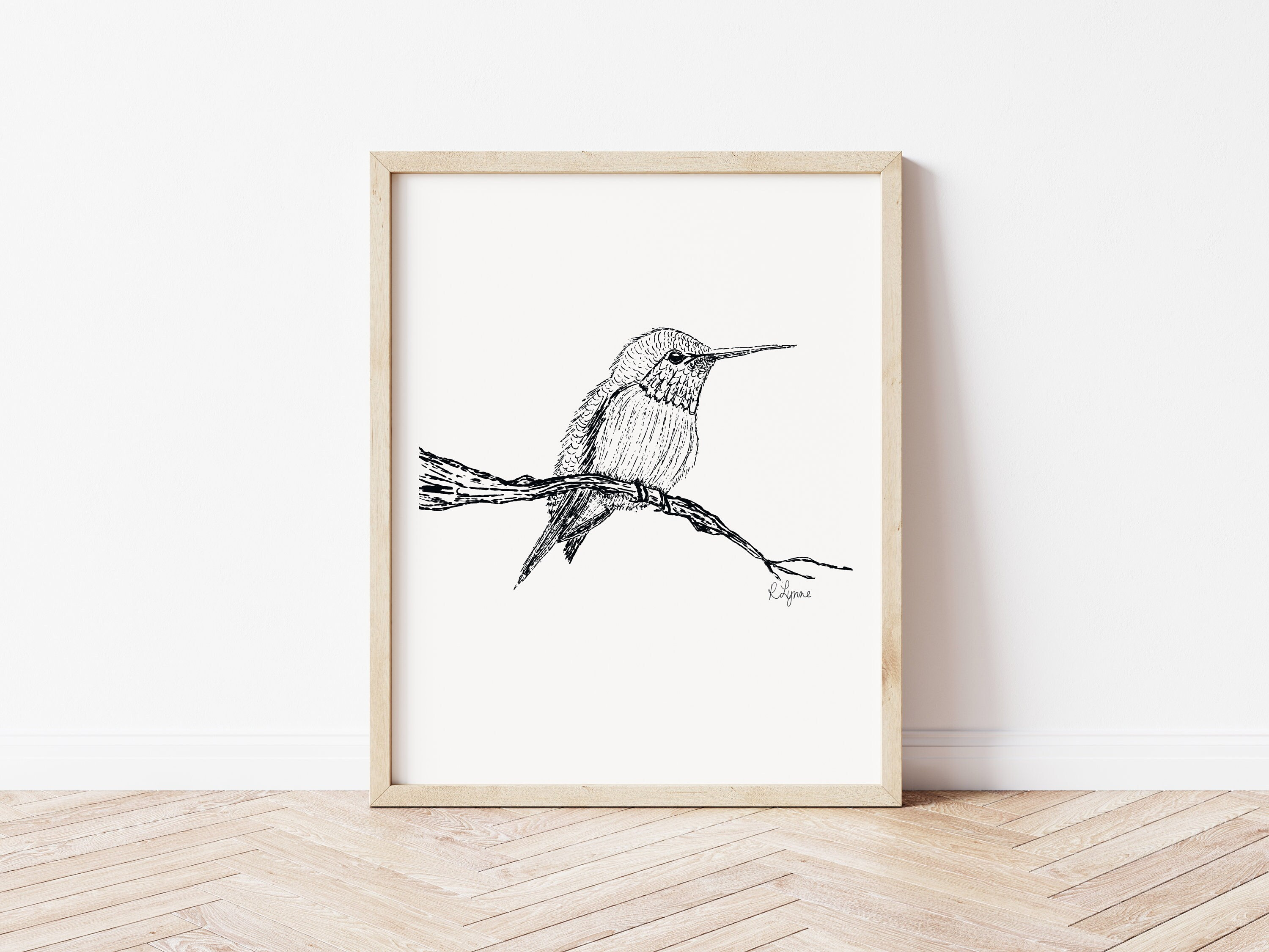 Original Hummingbird Ink Sketch - Hummingbird at Rest Art Print ...
