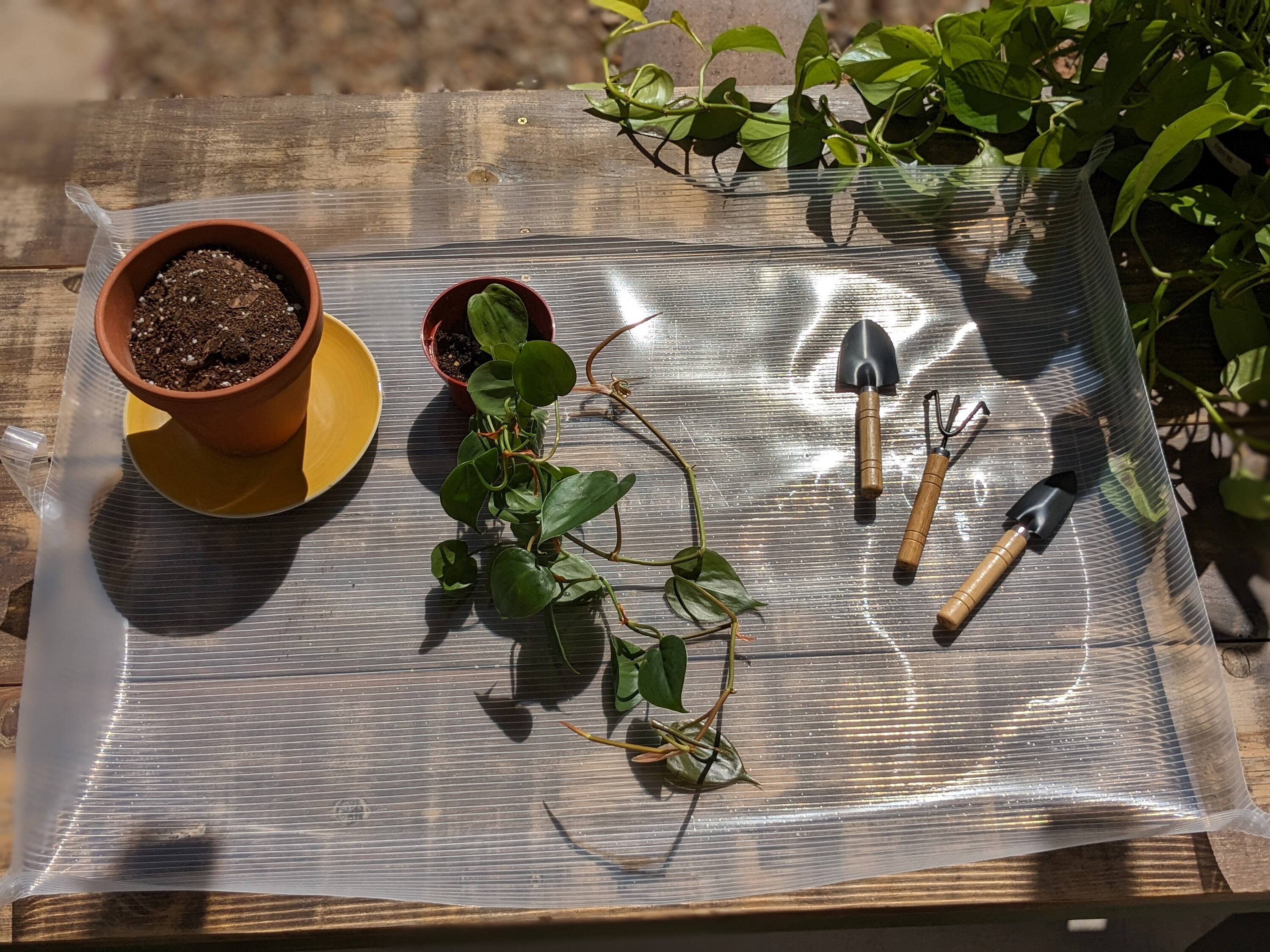 X-large Plant Potting Mat Repotting Mat Indoor Gardening Tarp Plant Mat ...