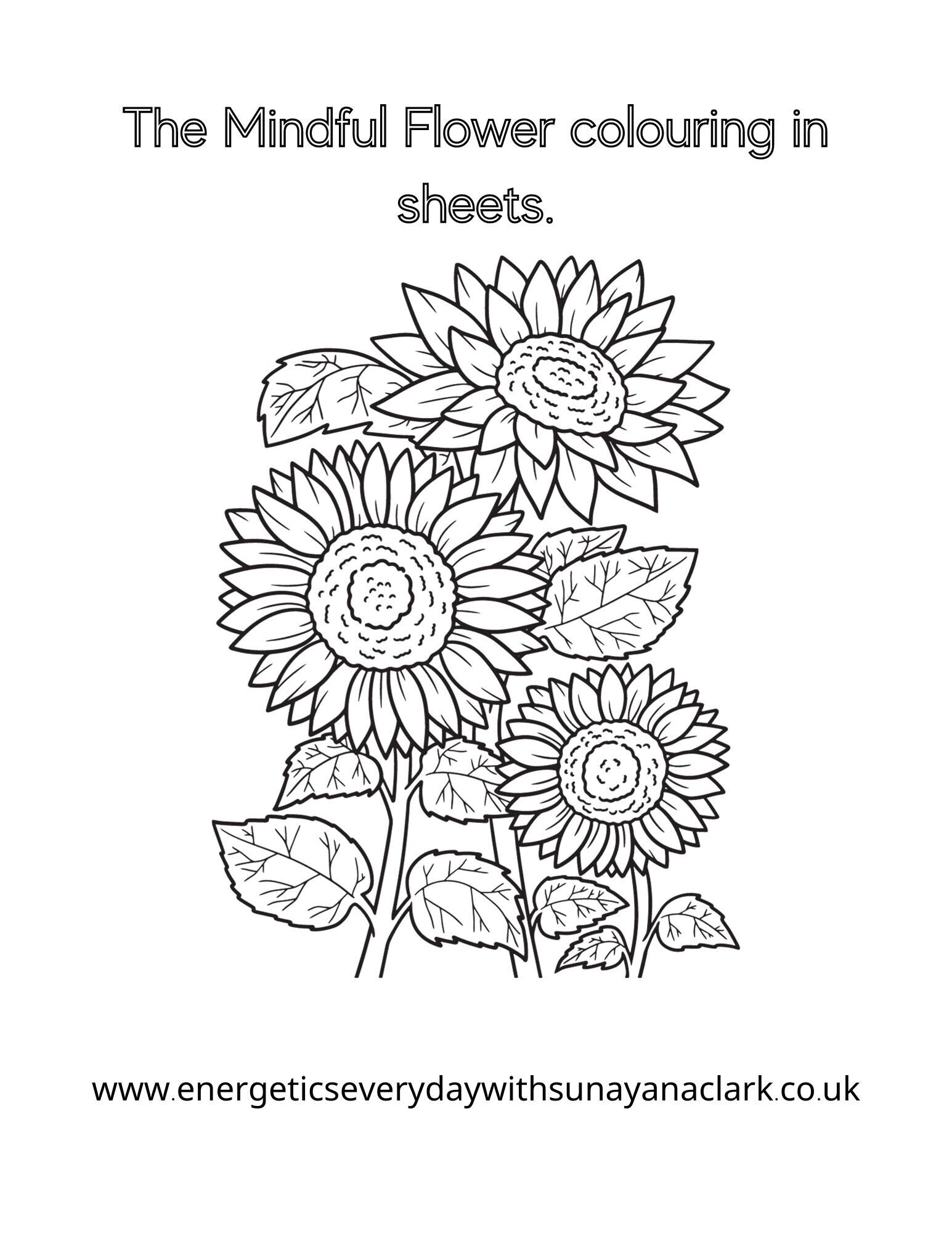 The Mindful Flower Colouring in Sheet 4 Pages - Etsy