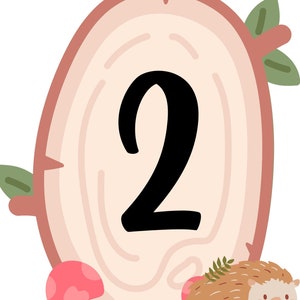 Printable Woodland Creature Table Numbers Baby Shower Table Numbers ...