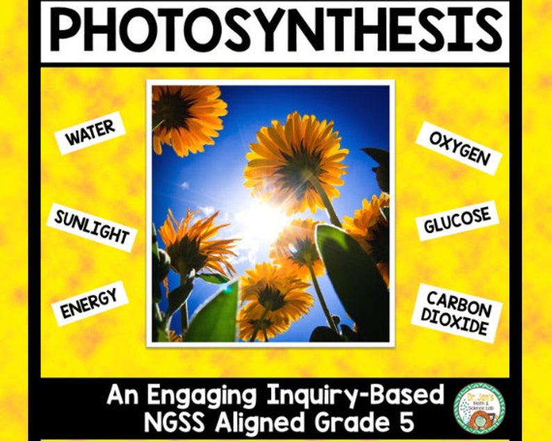 Photosynthesis Science Unit - Etsy