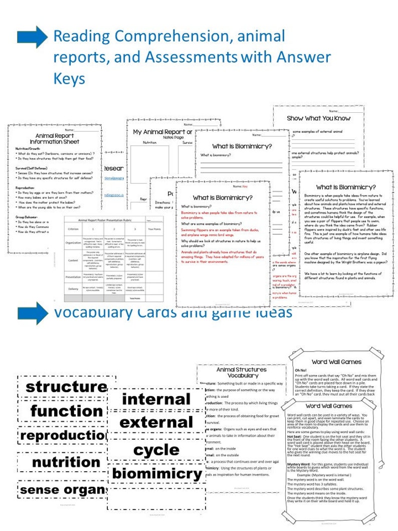 Plant and Animal Structures Science Units - Etsy