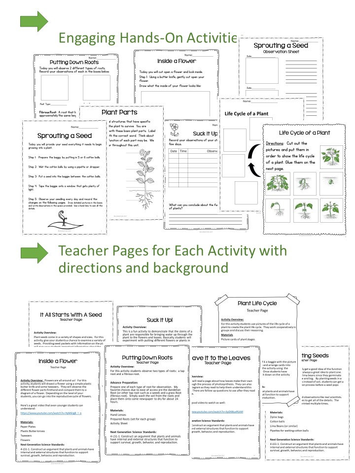 Plant and Animal Structures Science Units - Etsy
