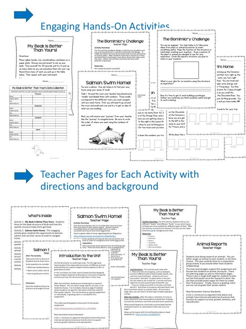 Plant and Animal Structures Science Units - Etsy