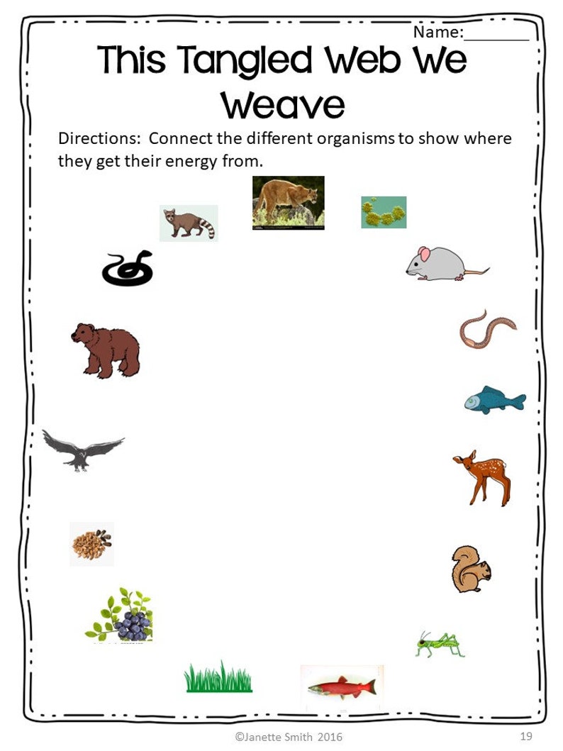 Ecosystems Science Unit - Etsy