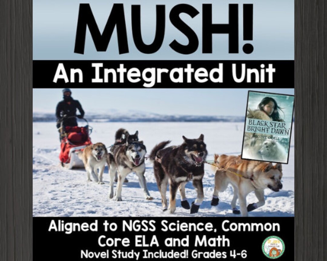 Mush: an Integrated Unit - Etsy