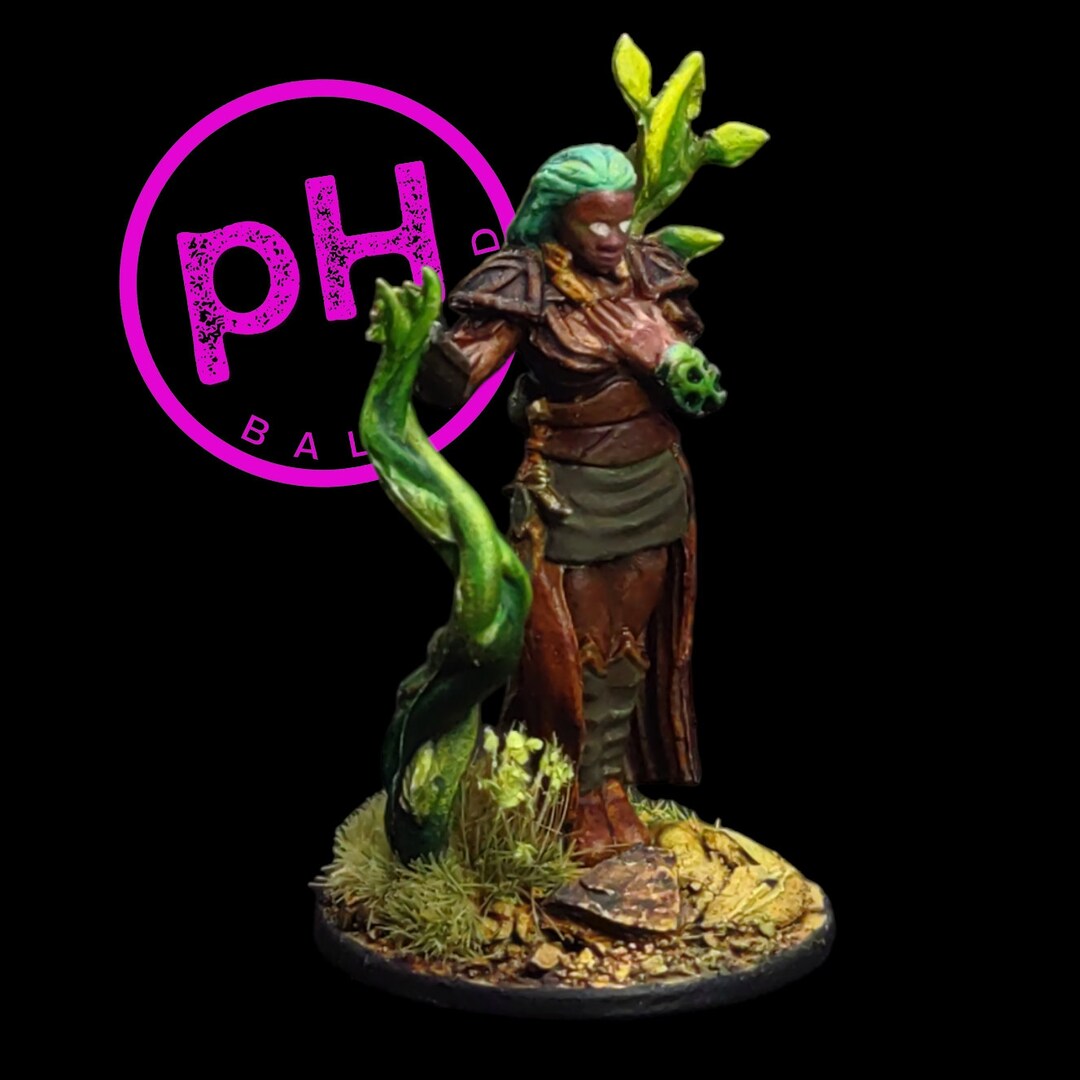 Painted D&D Human Druid With Summoned Plant - Etsy