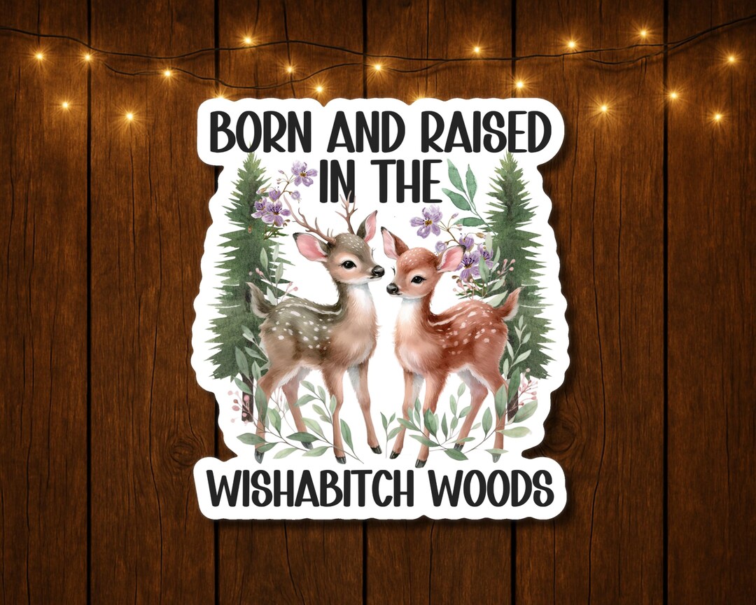 Funny Inappropriate Stickers for Laptop Sarcastic Kindle Stickers Meme ...