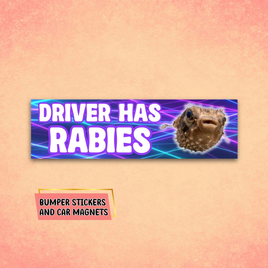 Unhinged Car Magnet, Inappropriate Bumper Sticker Gift, Funny Meme ...