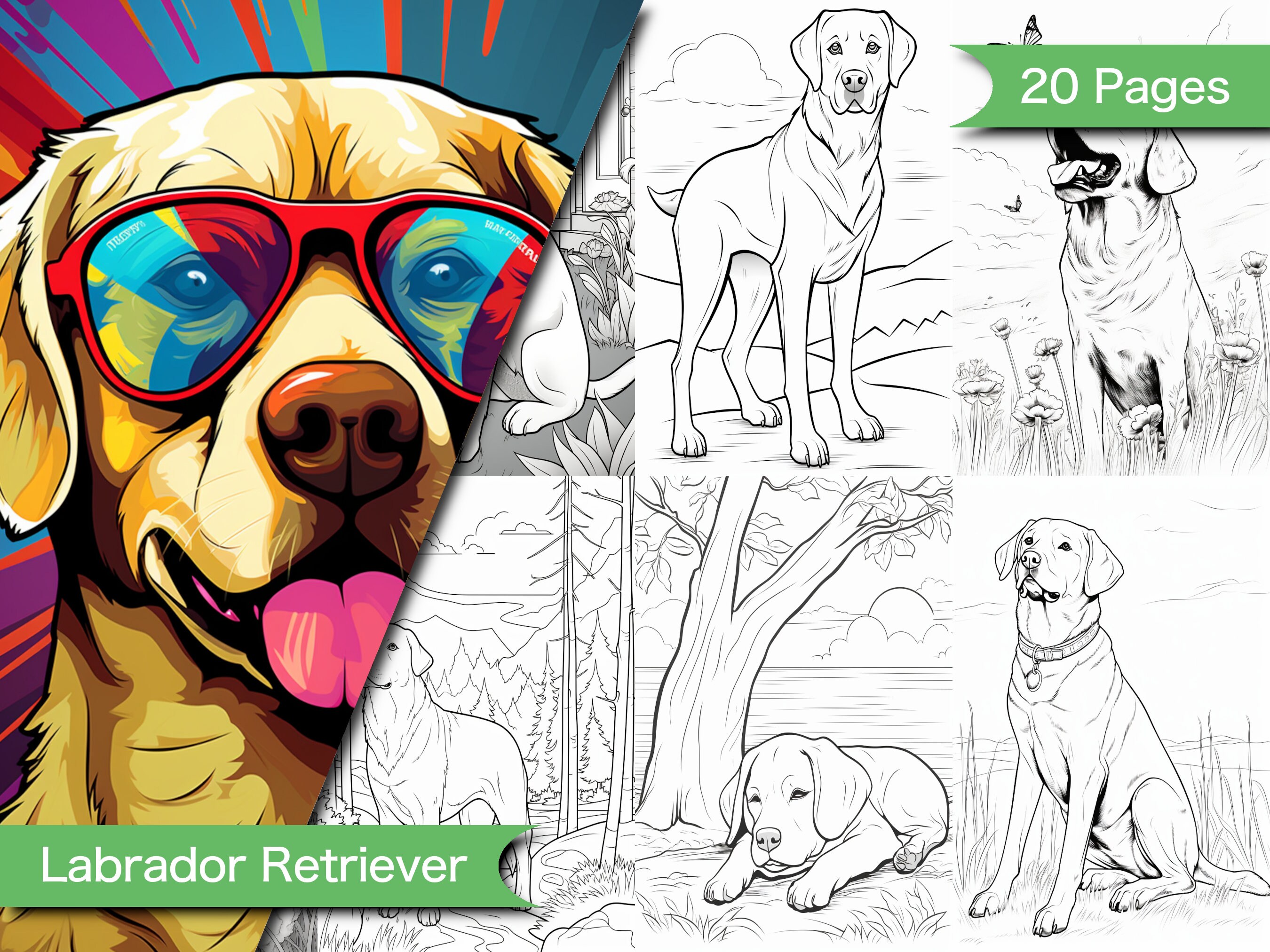 Printable Labrador Retriever Coloring Pages - Detailed Designs for Kids ...
