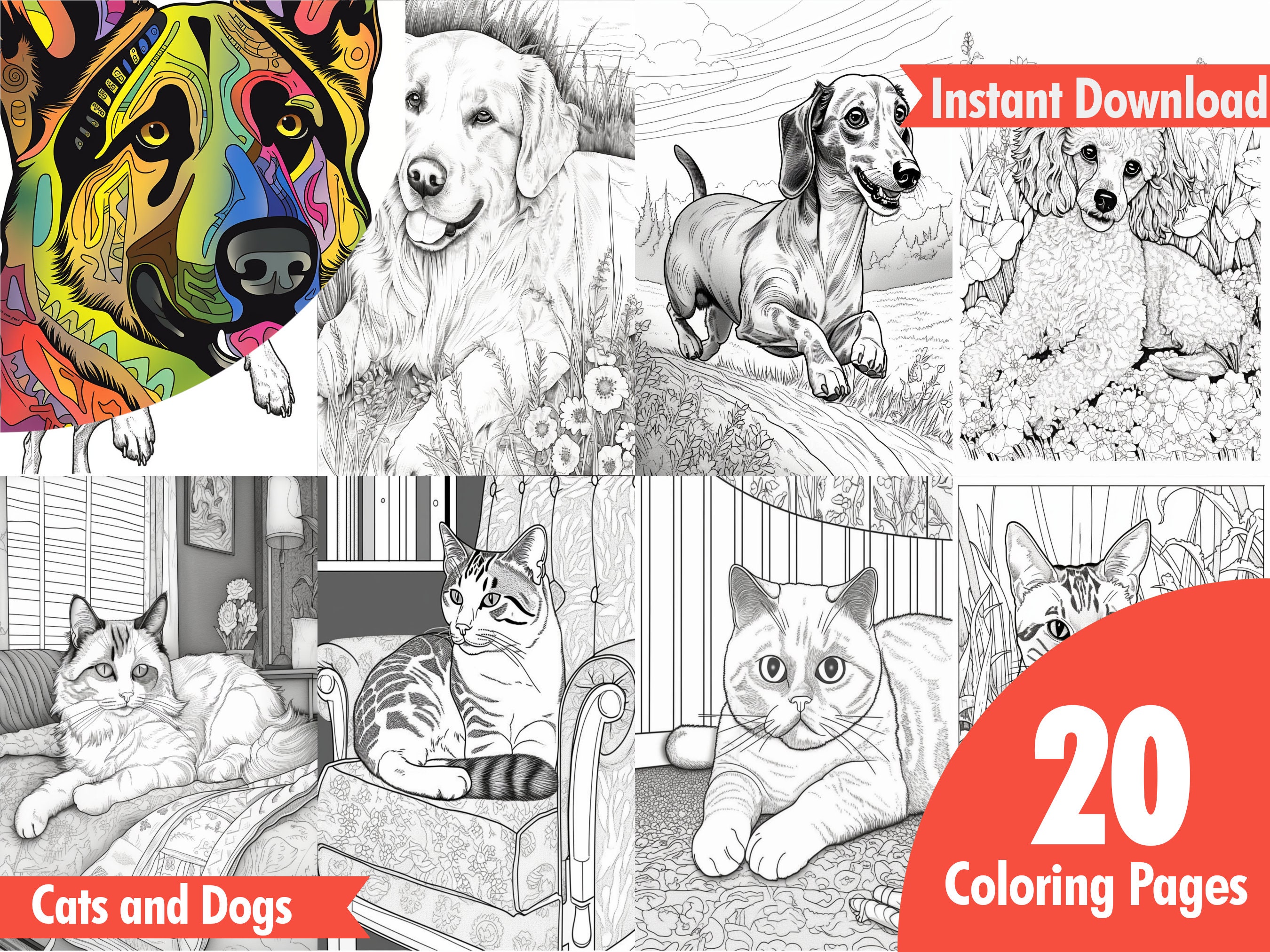 Cute Dog And Cat Coloring Pages