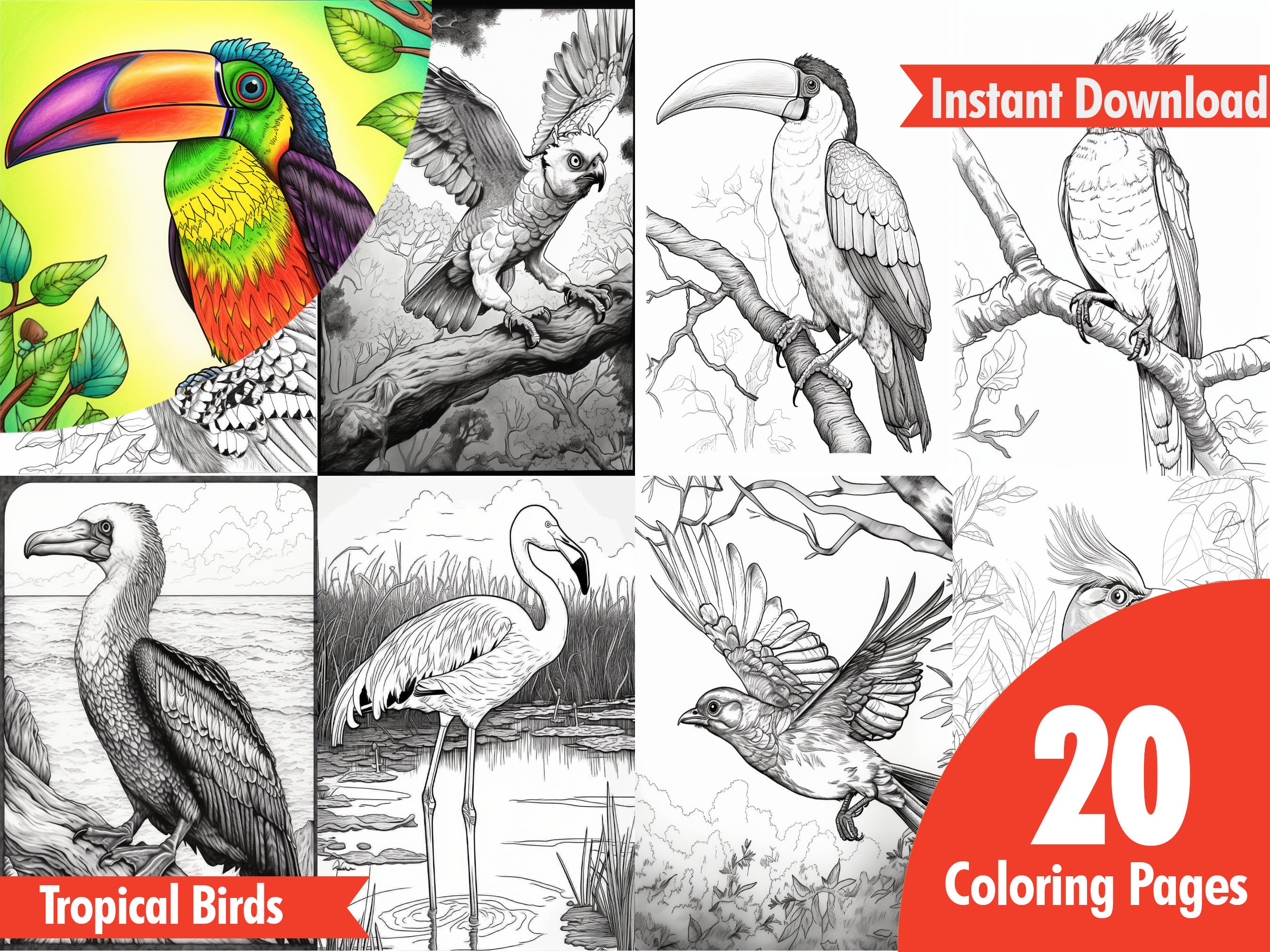 Jungle Birds Coloring Pages