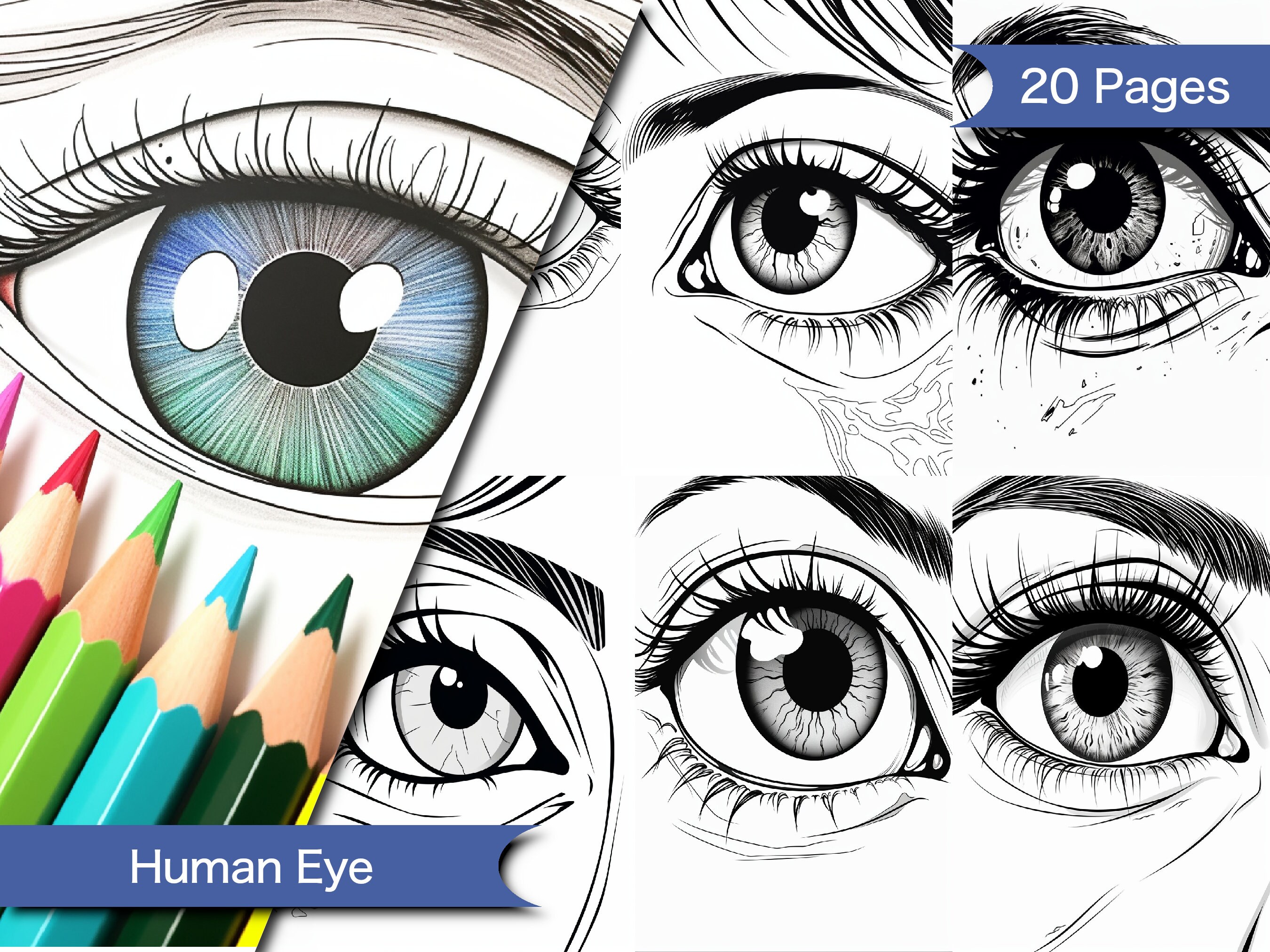 Human Eye Coloring Page