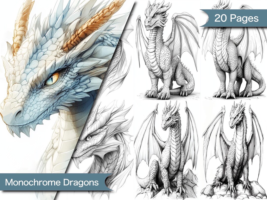 Monochrome Dragon Coloring Book With Intricate Designs for Kids and ...