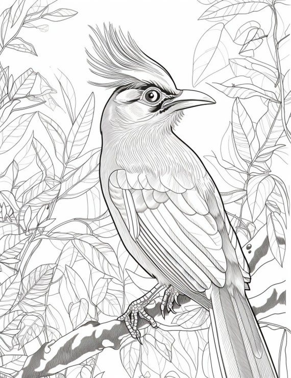 Tropical Bird Coloring Pages