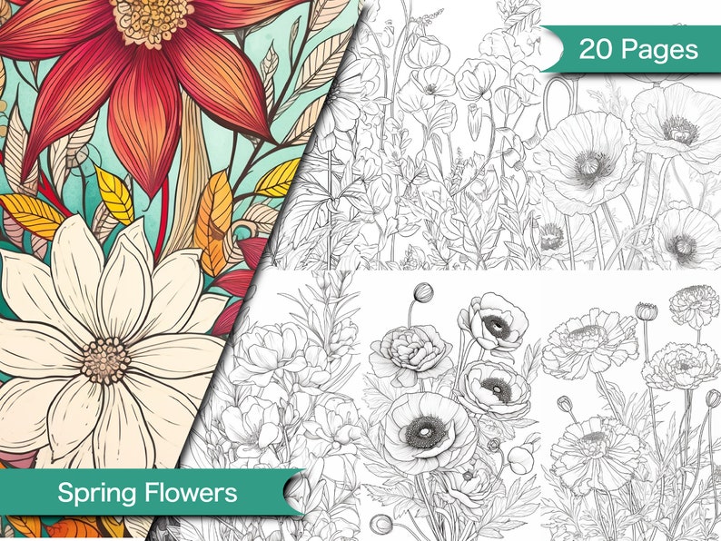 Spring Flower Coloring Pages for Adults & Kids (digital Download) - Etsy