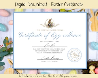EDITABLE Certificate From Easter Bunny, Printable Easter Bunny ...