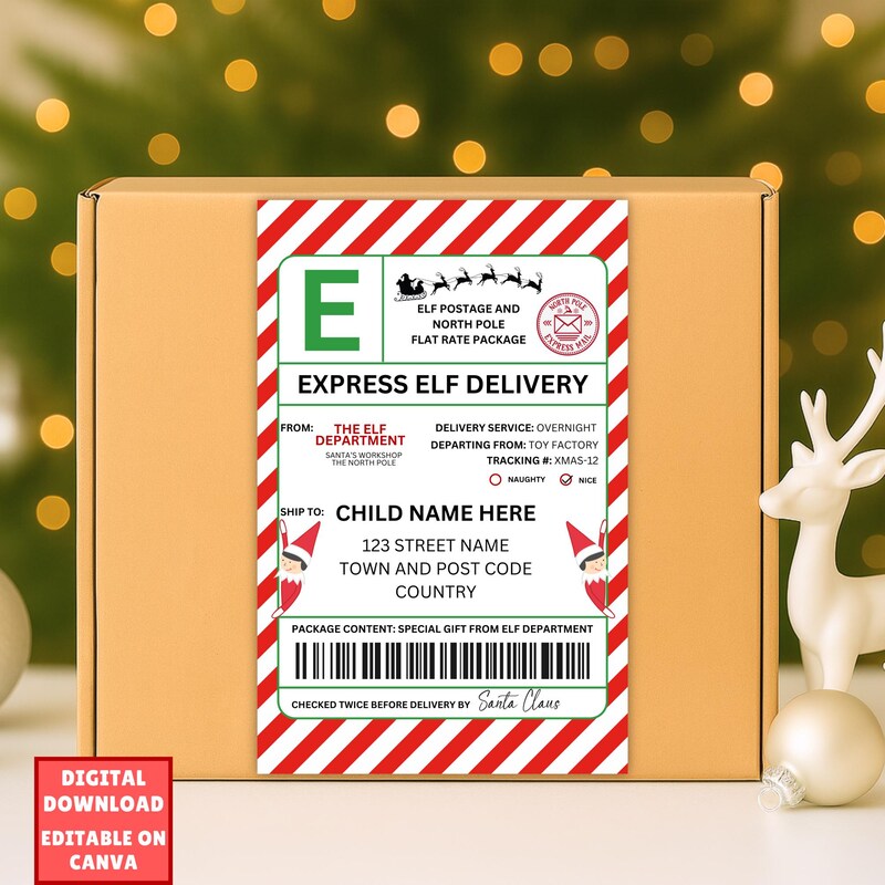 Package Elf on the Shelf - Etsy