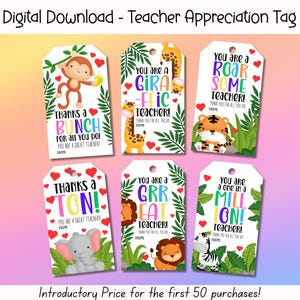 EDITABLE Teacher Appreciation Gift Tag, Staff Appreciation Gift Tag ...