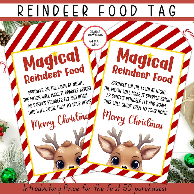 Reindeer Food Tag - Etsy