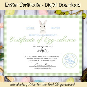 EDITABLE Certificate From Easter Bunny, Green Printable Easter Bunny ...